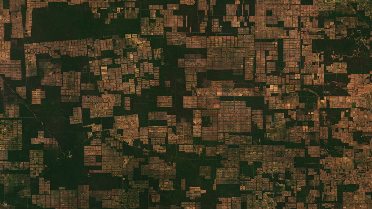 Ceres - The Investor Guide to Deforestation and Climate Change - Quantis