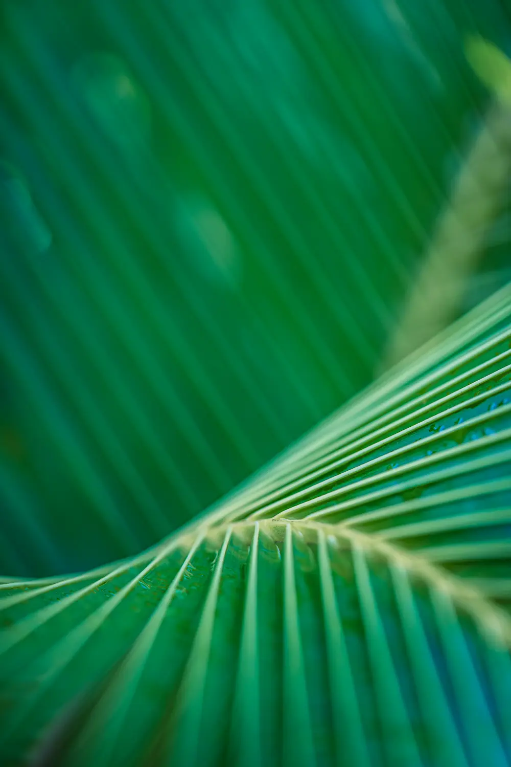 Why scaling product environmental footprints is key to decarbonize ...