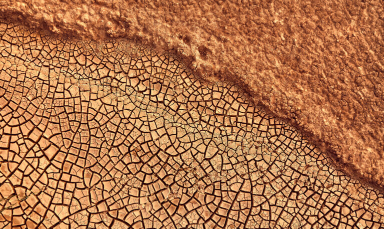 Land degradation + desertification: how inaction on nature-related ...