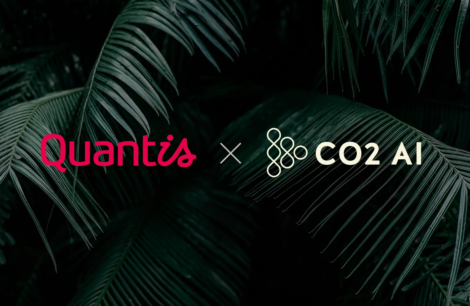 Quantis and CO2 AI Announce Strategic Partnership to Drive Scope 3 ...