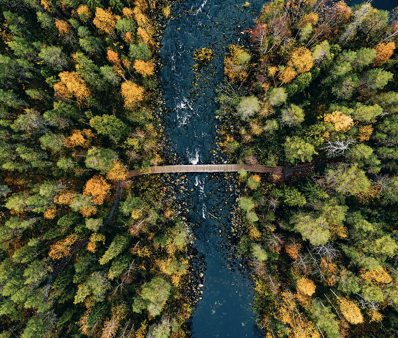Nature-Positive Strategies - Quantis