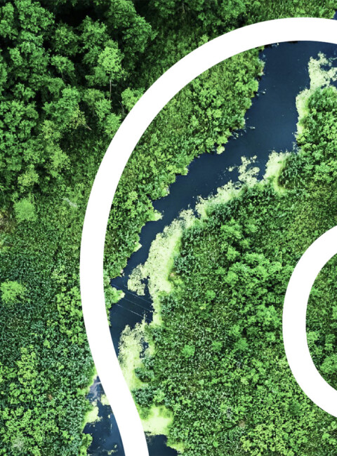 5 steps to build a strong sustainability culture - Quantis