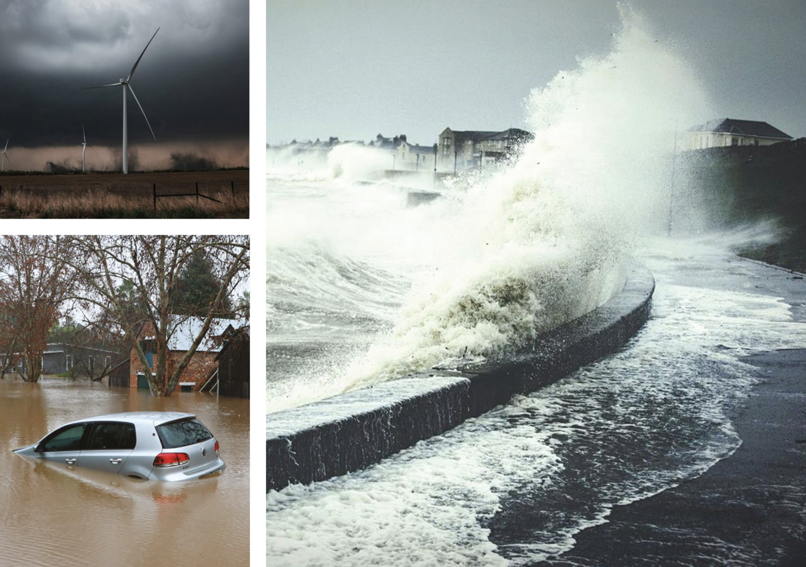 Adaptation and resilience of companies in the face of climate change ...